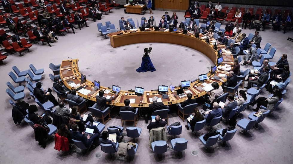 UN mulls change to Security Council veto process — RT World News