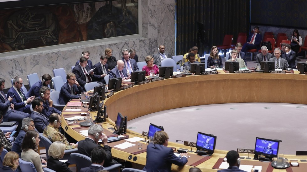 Turkish official calls for UN Security Council reform — RT World News