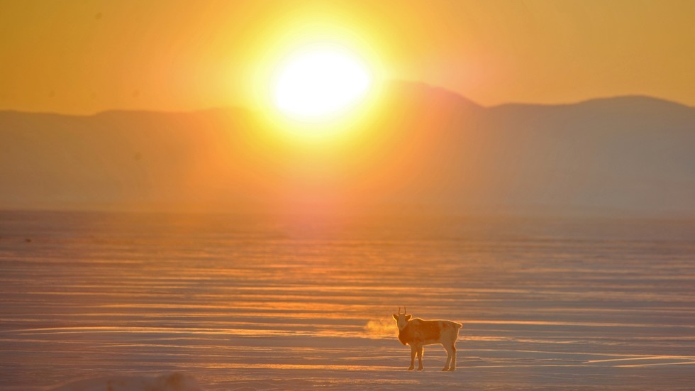 Putin calls Russia ‘true land of the rising Sun’ — RT Russia & Former ...