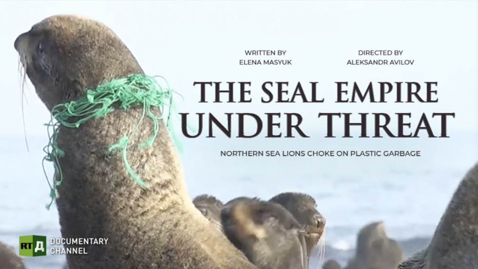 A Seal Empire Under Threat — RT Documentary