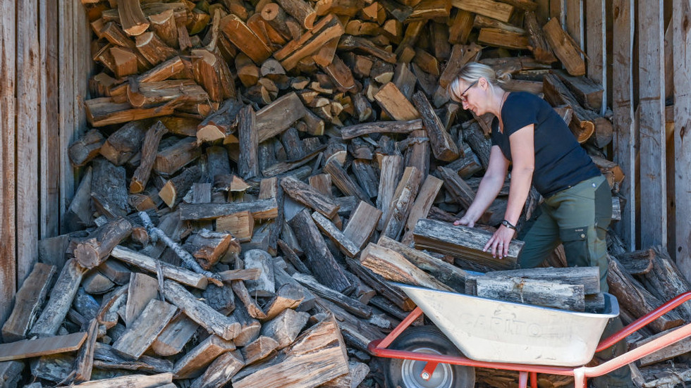 German firewood prices skyrocket – data — RT Business News