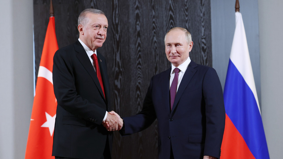 Erdogan backs Putin's gas hub proposal — RT World News