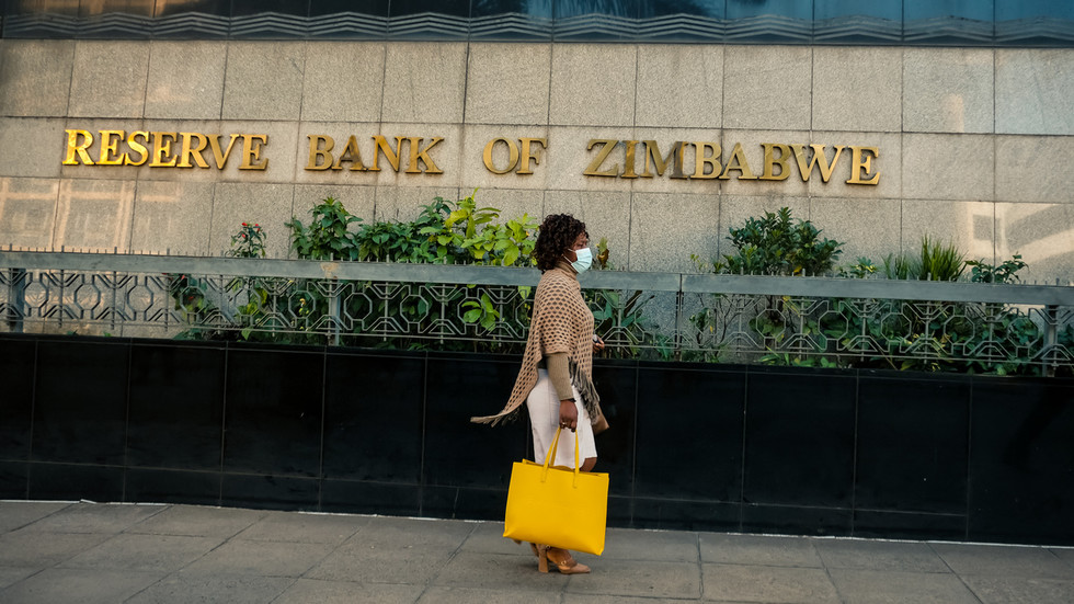 Zimbabwe defies IMF with gold-backed cryptocurrency — RT Africa