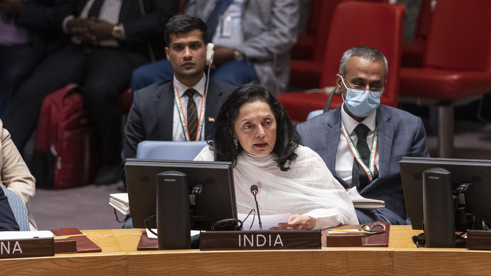 India calls for UN Security Council reform — RT India