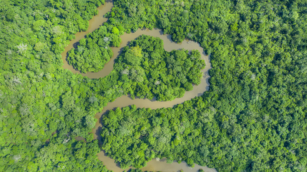 ‘Three Basins Summit’ concludes in the Congo — RT Africa