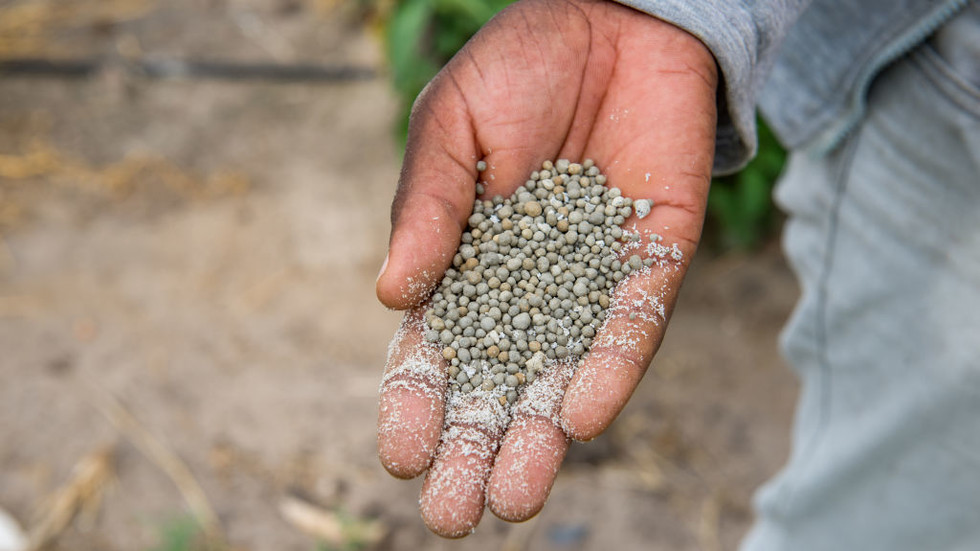 Russian fertilizer aid for Zimbabwe arrives at African port — RT Africa