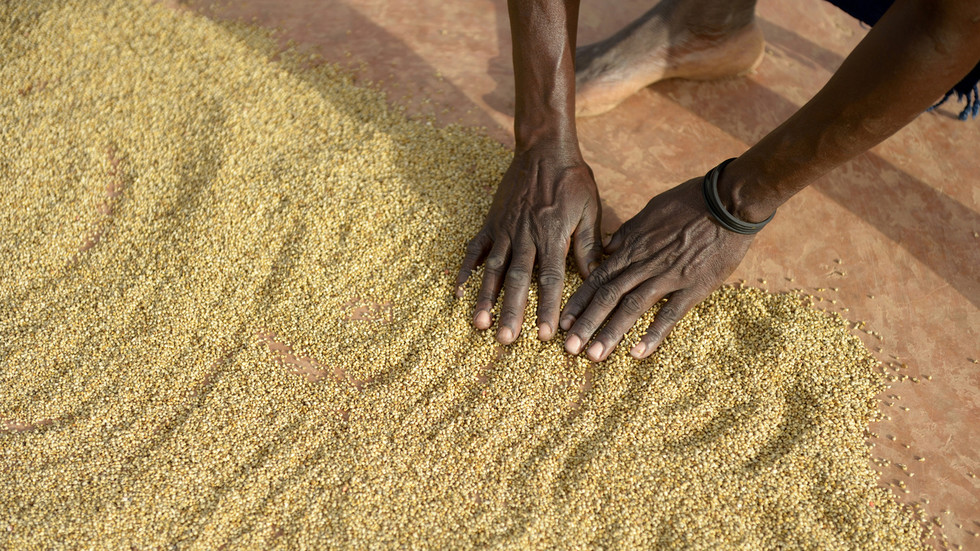 Russian grain exporters focusing on North African markets — RT Africa