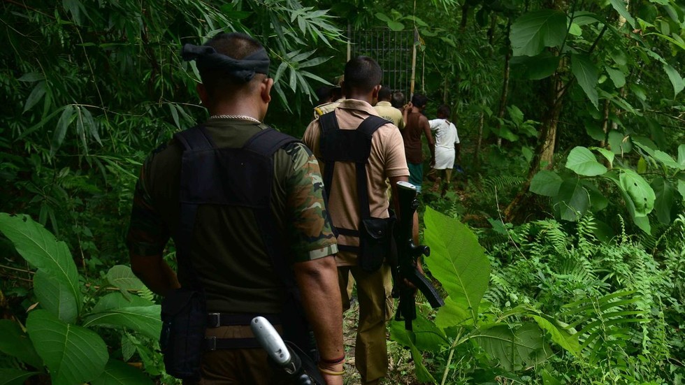 Man-eaters hunted down with drones in India (VIDEO) — RT India