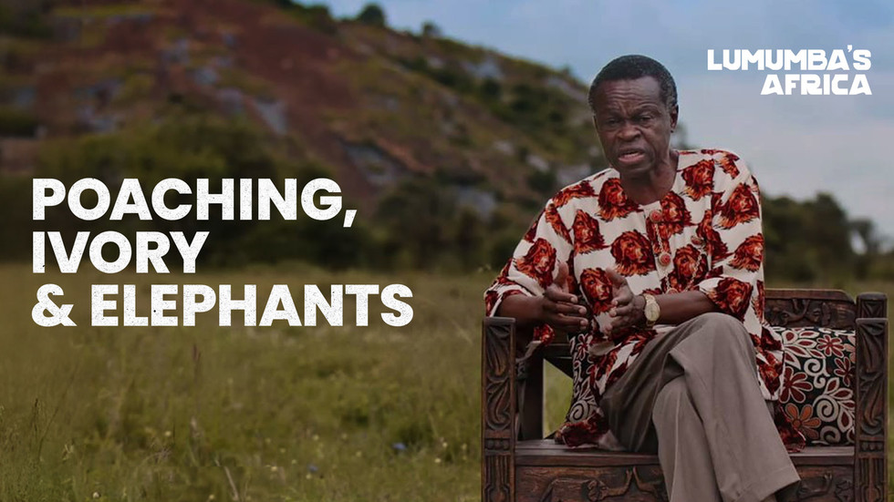 Poaching, ivory & elephant problems — RT Lumumba’s Africa