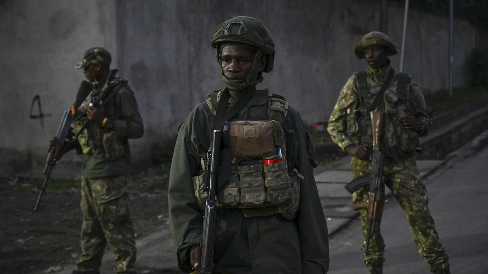 DR Congo rebels ready for ceasefire – spokesman — RT Africa