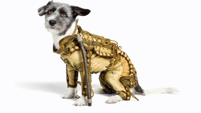 Canine collectible: Soviet cosmo-dogs’ spacesuit sold for $18,000 at ...