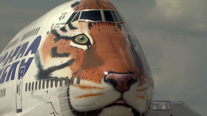 Russian air carrier gets tiger stripes, unveils new Boeing livery ...