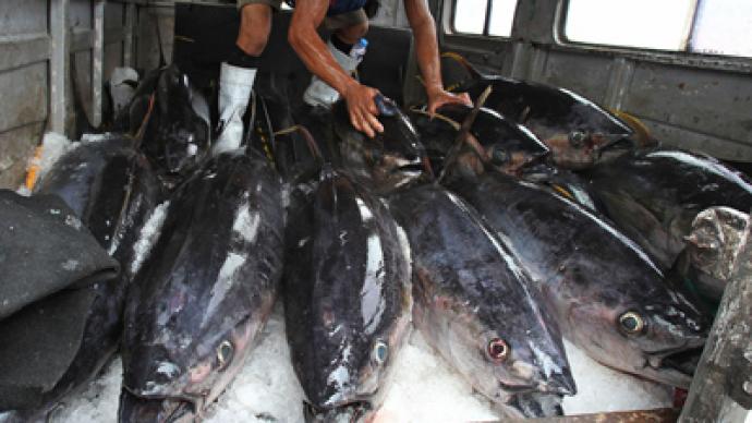 Fukushima-contaminated tuna caught off California coast — RT World News