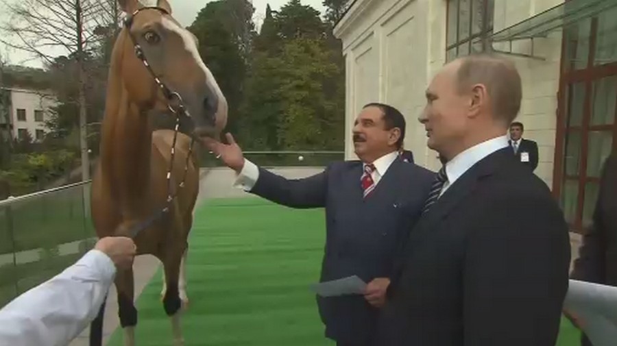 Un cadeau à quatre pattes : Poutine offre un cheval turkmène au roi du ...