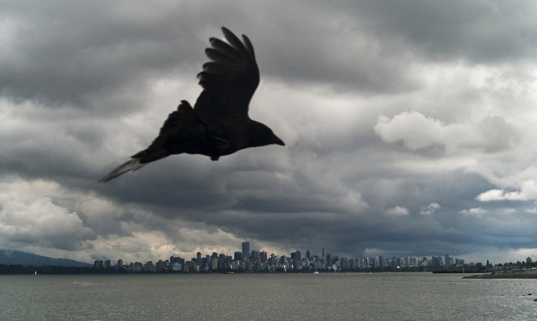 Les corbeaux croassent, la caravane passe — RT en français