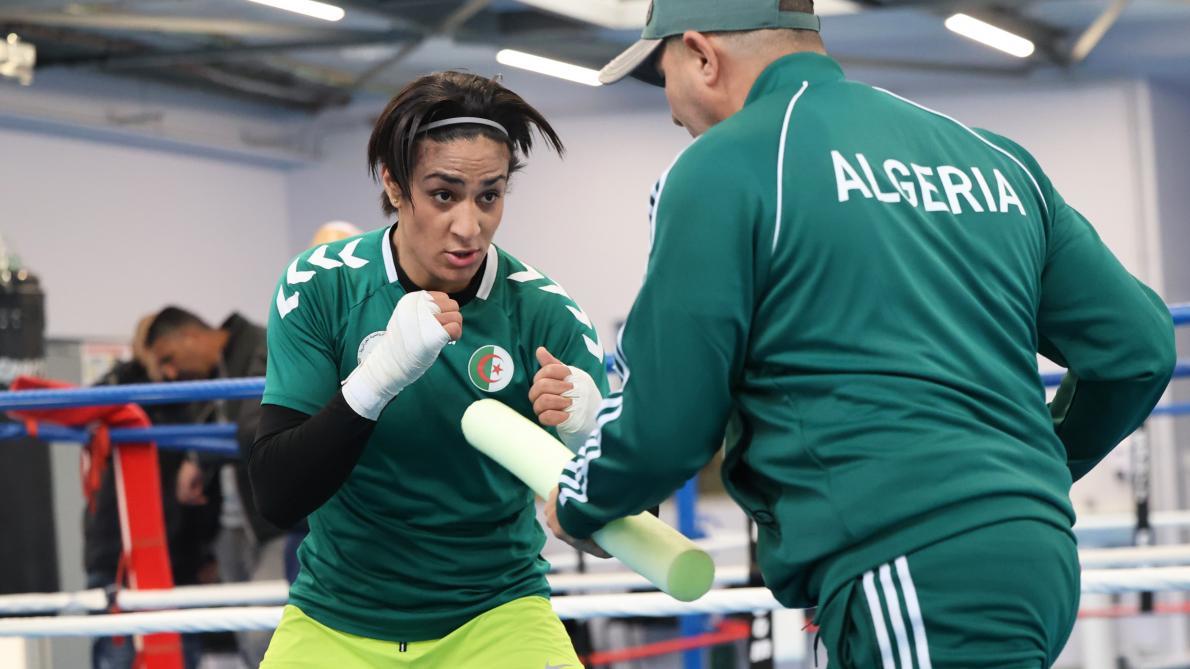 JO 2024 : une boxeuse algérienne accusée d'être transgenre par Matteo ...