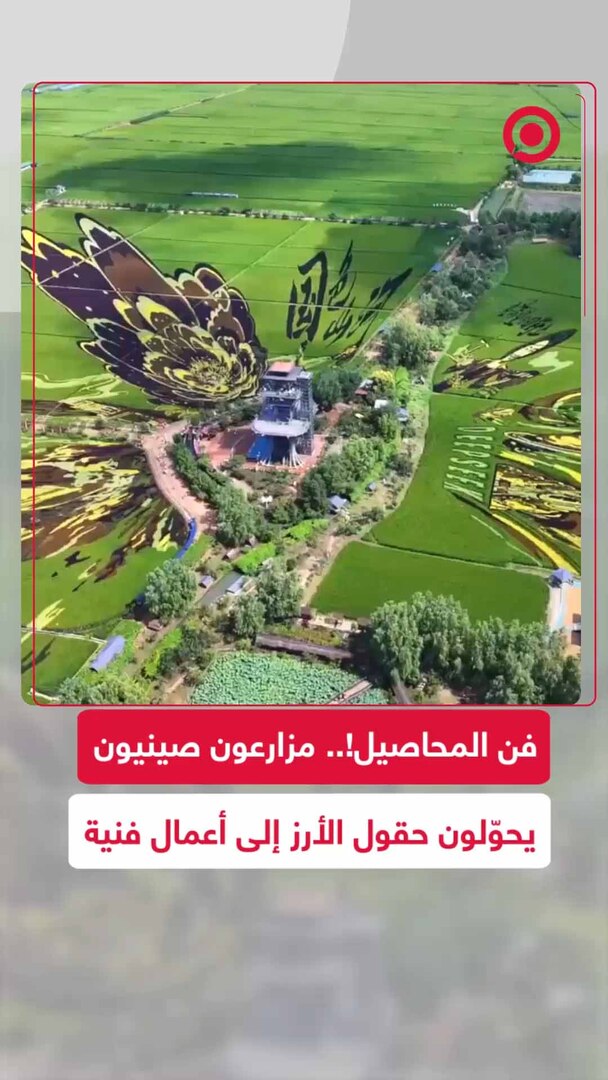حقول الأرز الصينية تتحول للوحات فنية!.. في مدينة شنيانغ شمال الصين ...