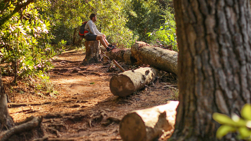 5 Moscow hiking trails that make for great adventure - Russia Beyond