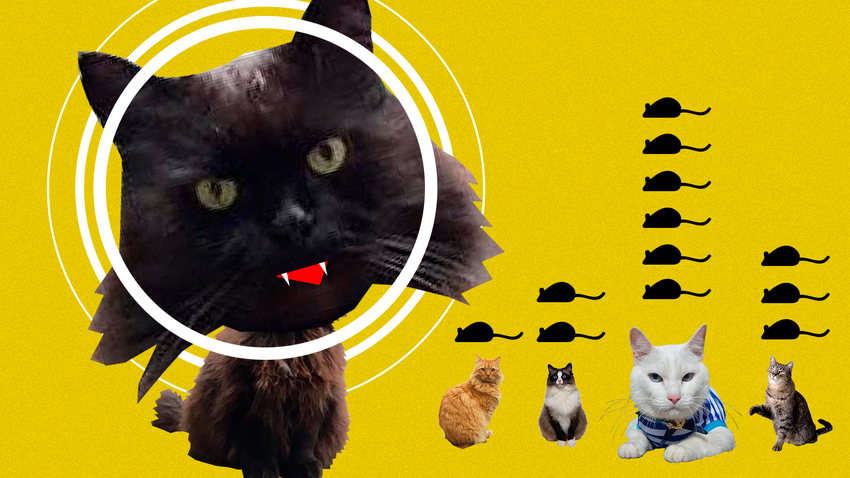 10 cats who ‘work’ for Russian museums (PHOTOS) - Russia Beyond