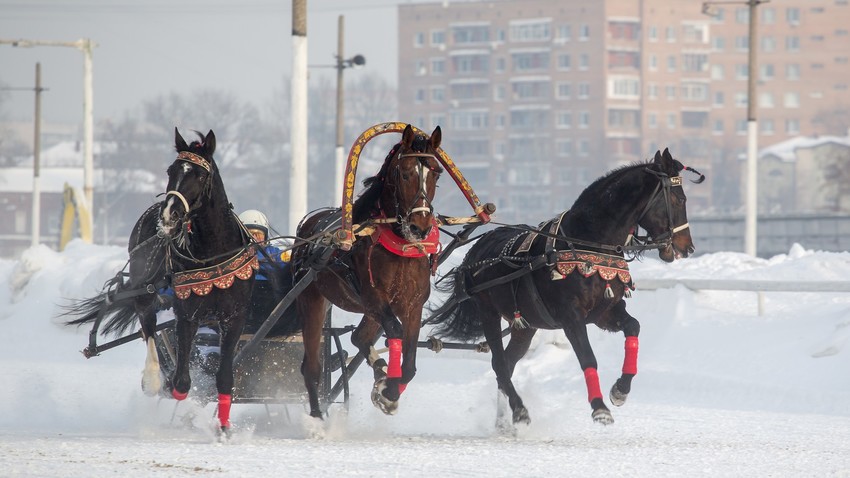 Russian troika racing is making a comeback! (VIDEO) - Russia Beyond