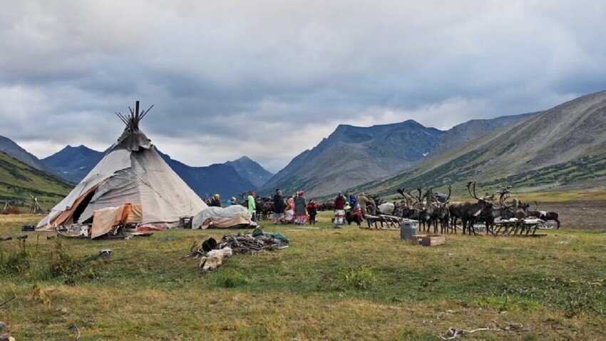 La vida de los nómadas del norte de Rusia en imágenes - Russia Beyond ES