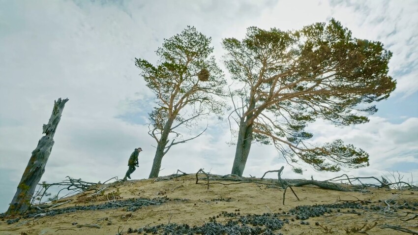 Nationalpark „Onega Pomorje“ (VIDEO) - Russia Beyond DE