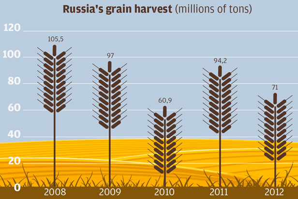 Russia's grain harvest - Russia Beyond